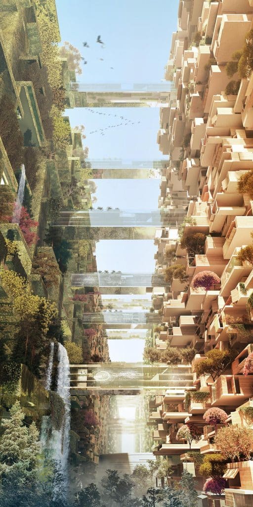 The-Line-Project-28-512×1024 – MapTalent